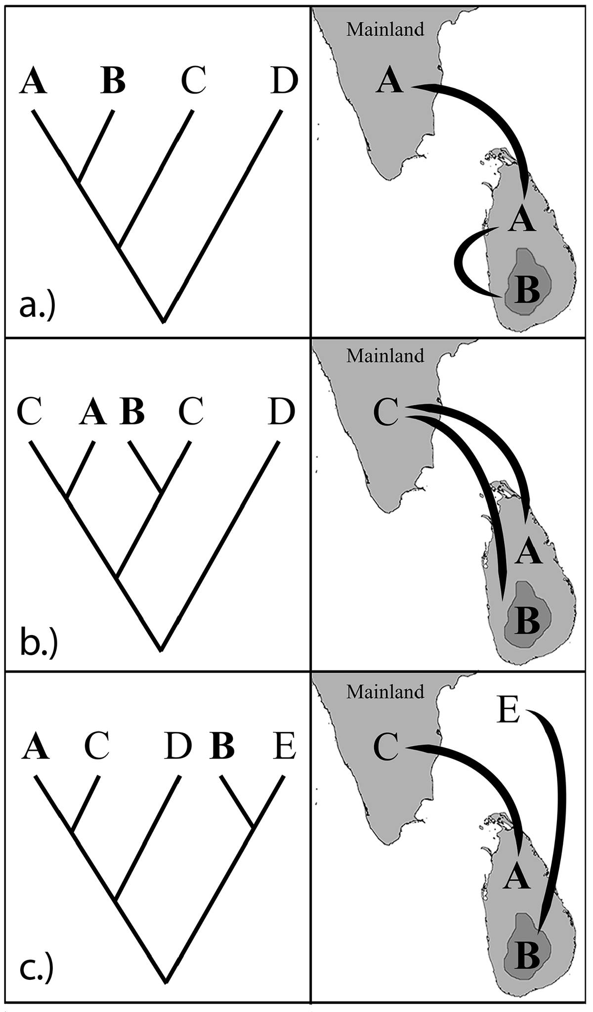 Gallery – Avian Evolution Node