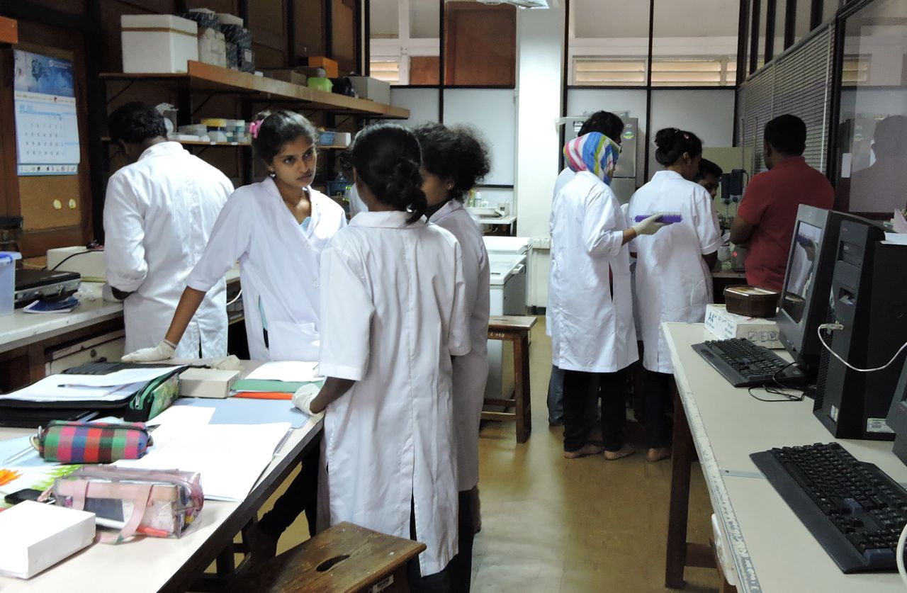 Gallery – Avian Evolution Node