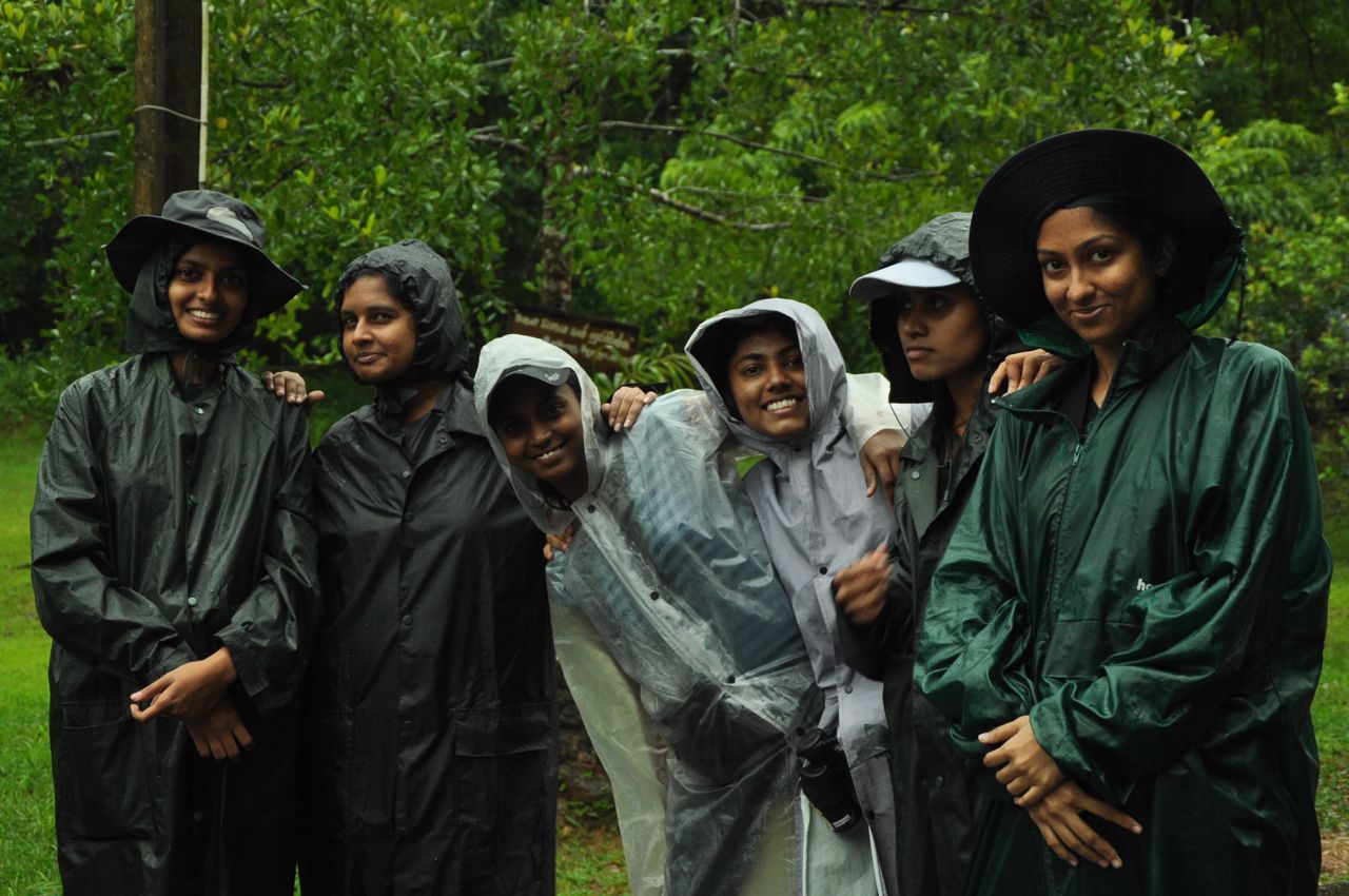 Gallery – Avian Evolution Node