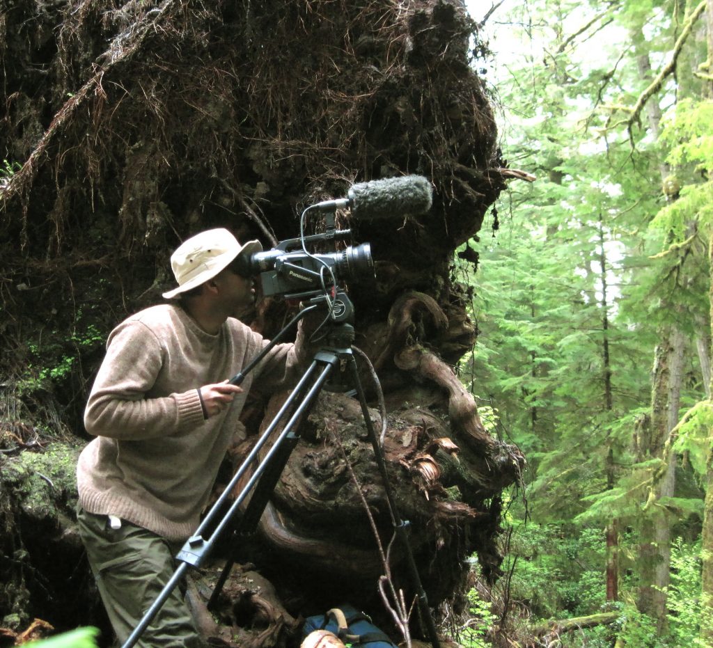 Gallery – Avian Evolution Node