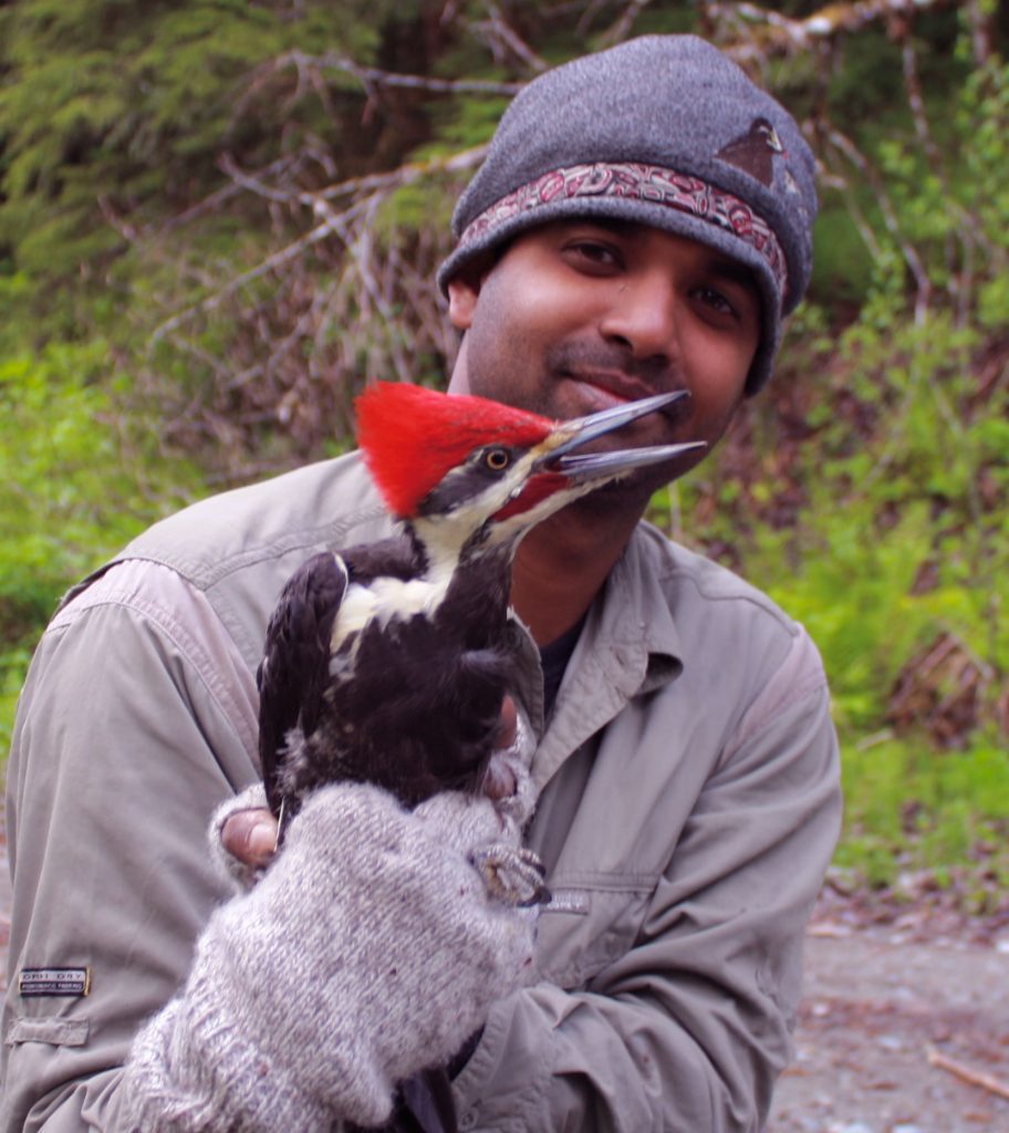 Gallery – Avian Evolution Node