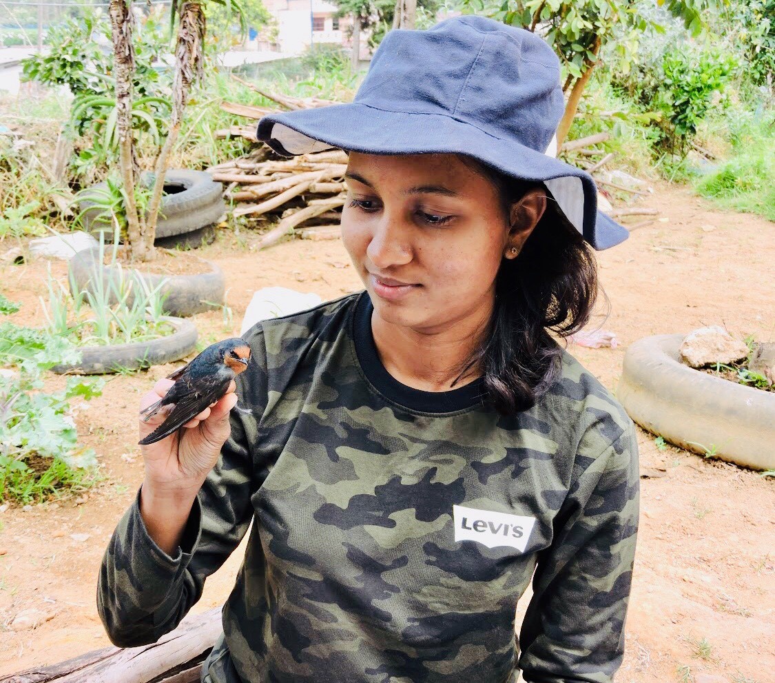 People – Avian Evolution Node