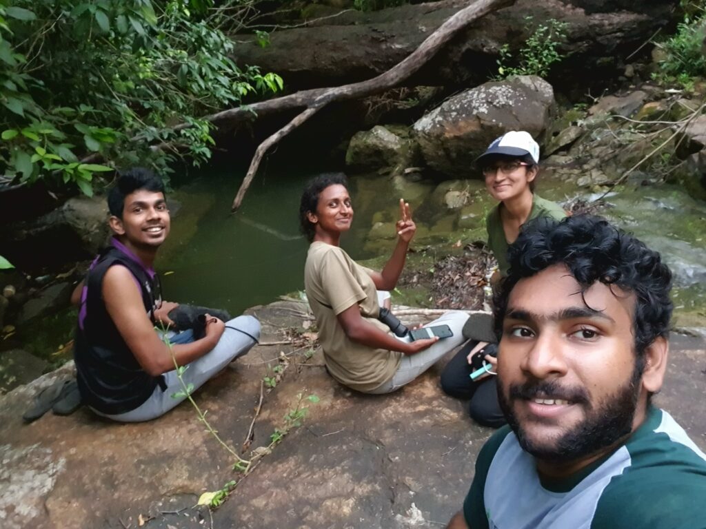 Gallery – Avian Evolution Node